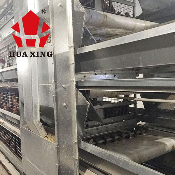 Durable High Speed Poultry Farm Feeder , Automatic Chicken Food Dispenser
