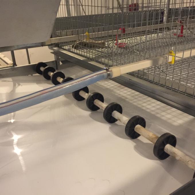 4 Tiers 4 Door Battery Brooder Cages Automatic Cleaning System