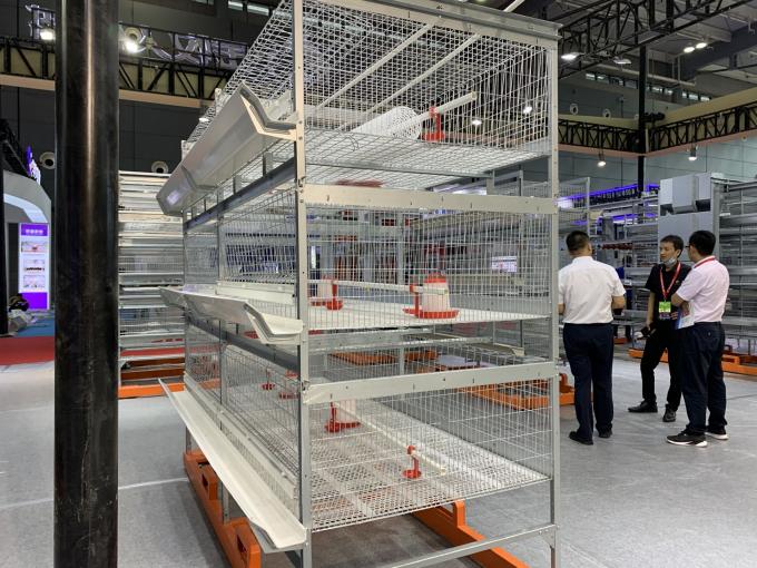 Laboratory 24 Doors 264 Birds Poultry Chicken Cage