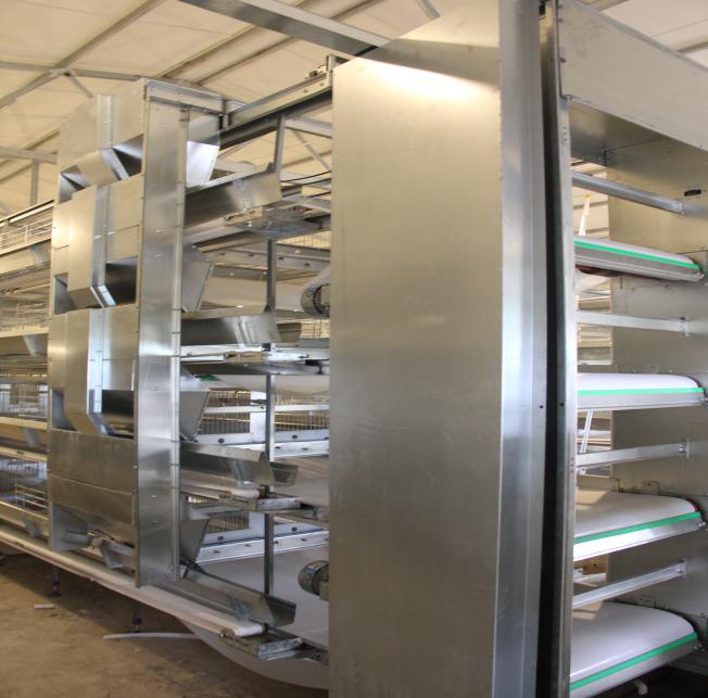 Broiler 96 Birds 3 Tier Layer Cages With Automatic Feeding System