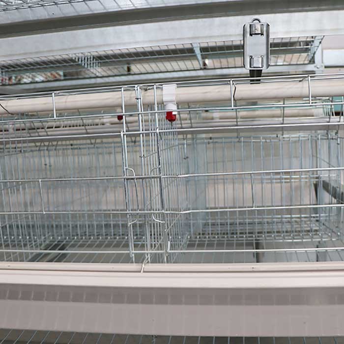 Adjusting Automatic Battery Cage System , Enriched Wire Steel Cage For ...