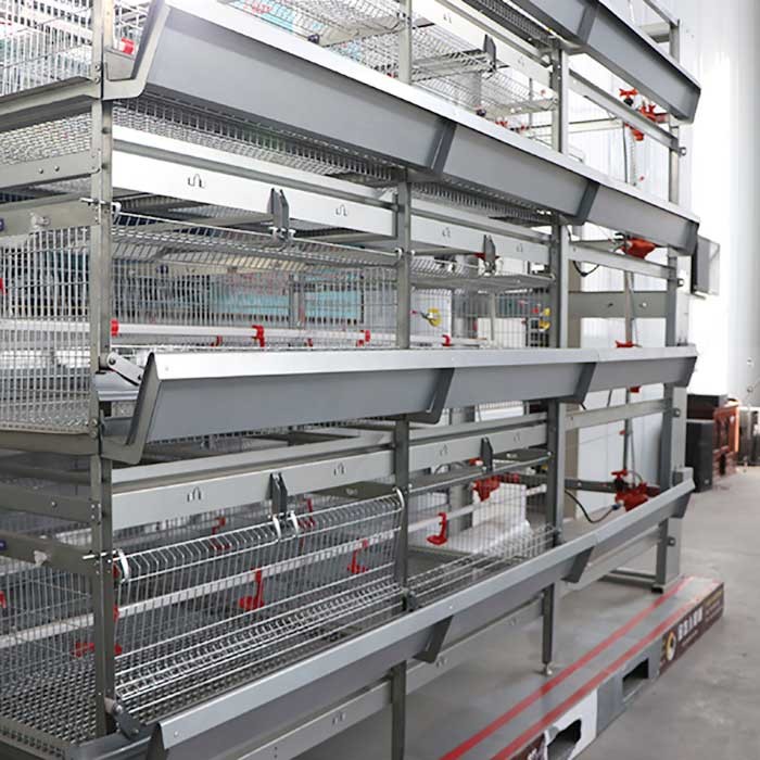 Manual Feeding System Poultry Chicken Cage For Baby Chick 20 Years Life ...