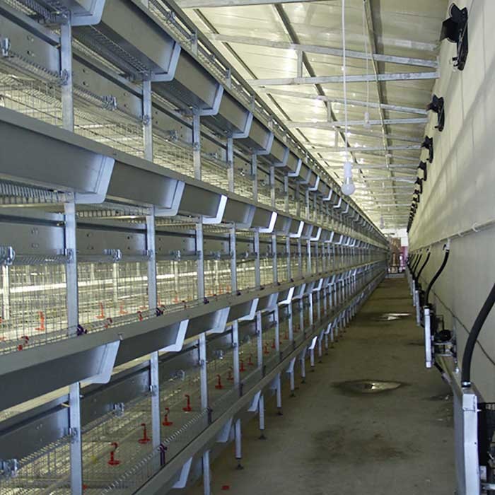 195 * 50 * 35CM Chick Brooder Cage , High Efficiency Cage Layer Farming