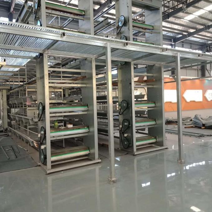 Powerful Clean Automatic Manure Removal System With Mure Transporting ...