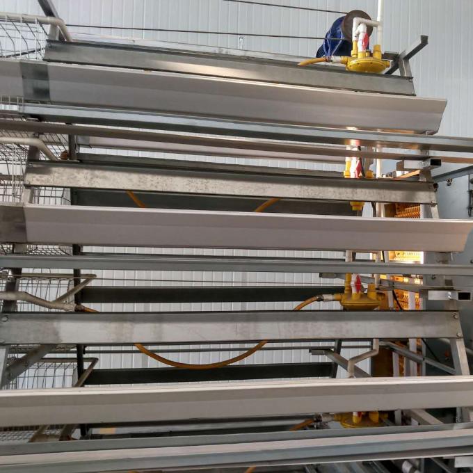Battery Power Layer Chicken Cage With Belt / Scraper Manure Removal System